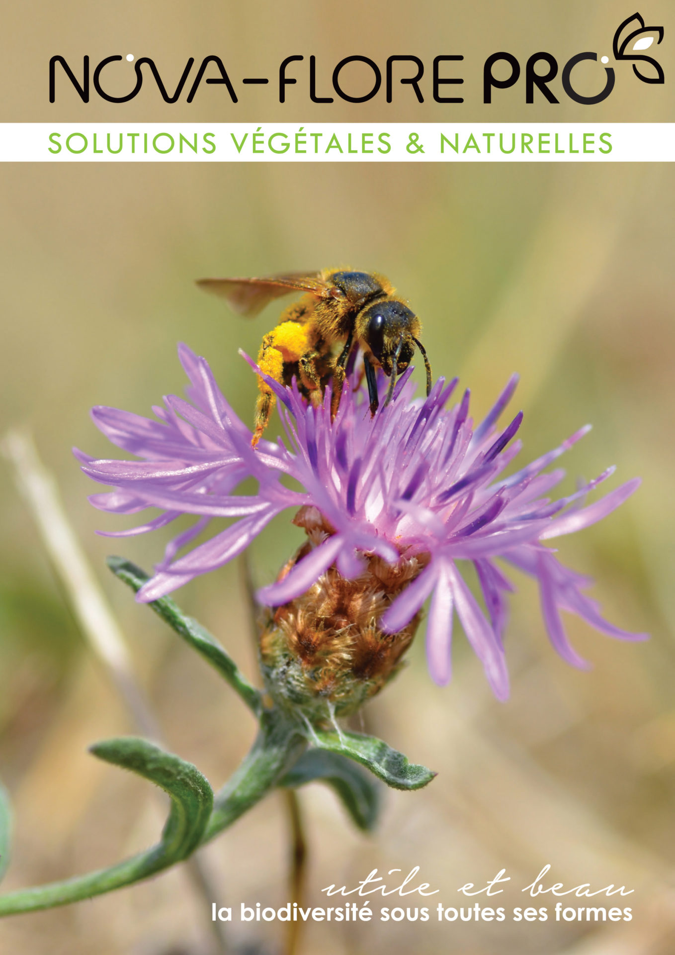 NOVA-FLORE prairie fleurie - jachère fleurie - gîtes et nichoirs