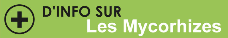 Mycorhizes - NOVA-FLORE